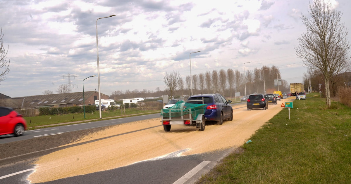Vrachtwagen verliest lading graan op N272 bij Beek en Donk | Regio | BN ...