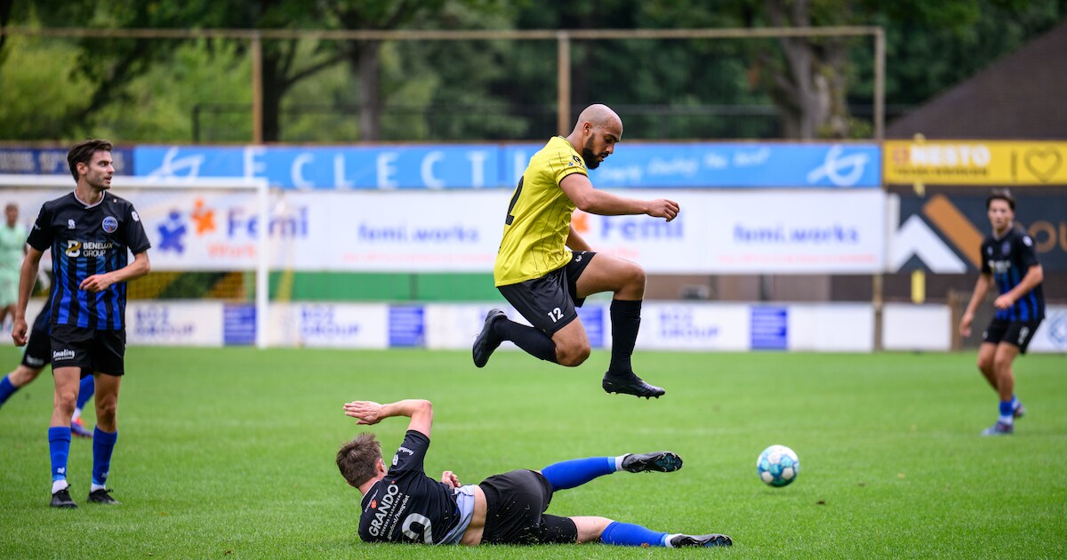 Nieuwe zeperd voor naar vastigheden zoekend Halsteren | Amateurvoetbal ...