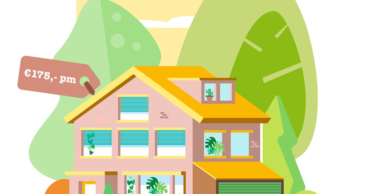 Peter nam negen nieuwe zonnepanelen: ‘Ze hebben zo’n 18 procent ...