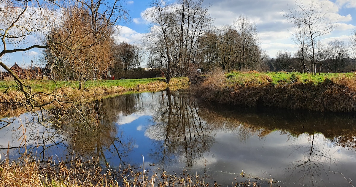 Drie illegale afvallozingen op de rivier de Mark in enkele weken tijd ...