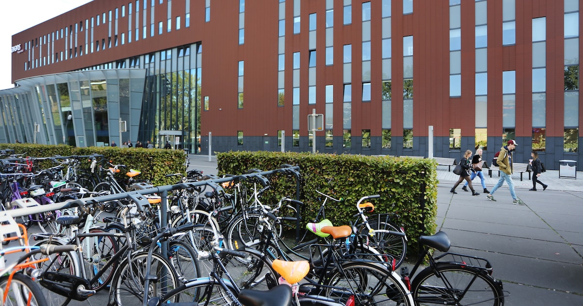 Avans blijft de beste grote hogeschool, maar kritiek op korte ...