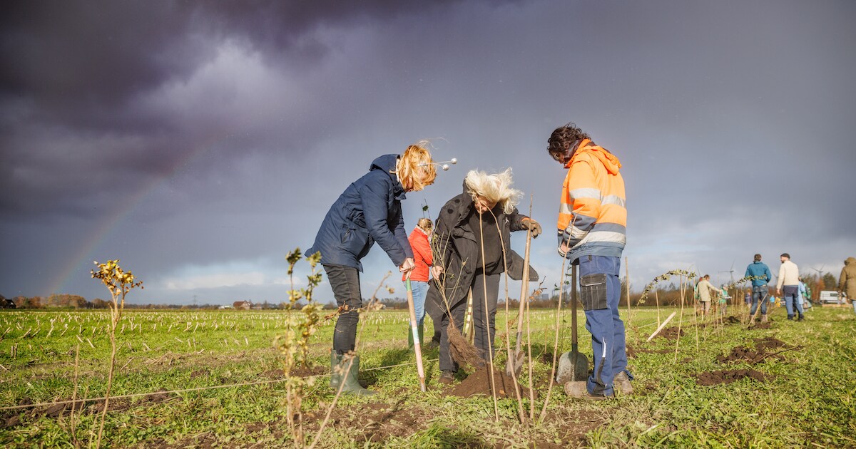 Er is nog geen appel te zien, maar nu al is Houts Voedselbos in trek ...