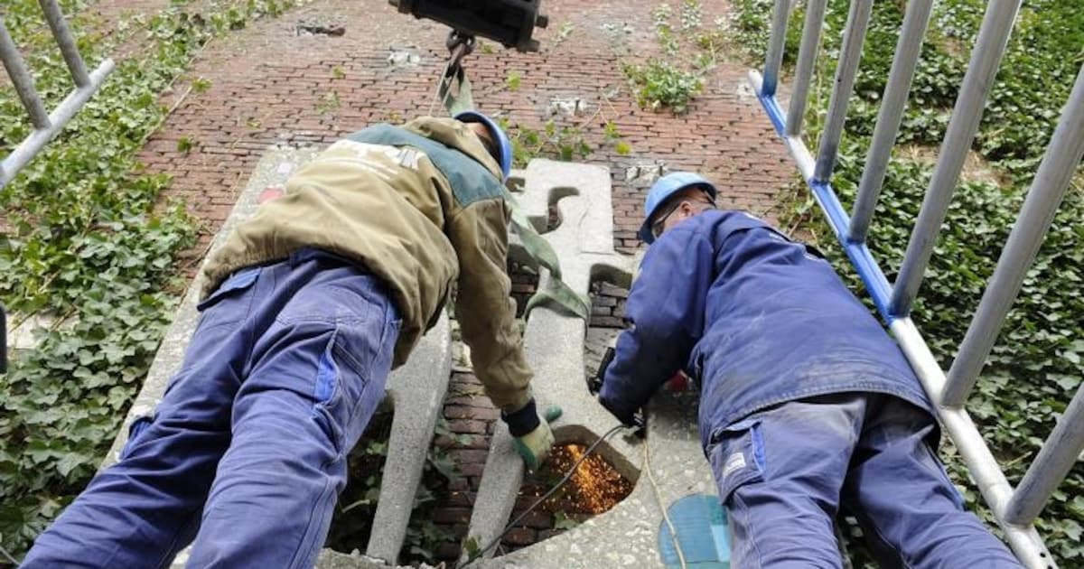 Kunstwerk in delen van de muur | Breda | BN DeStem.nl