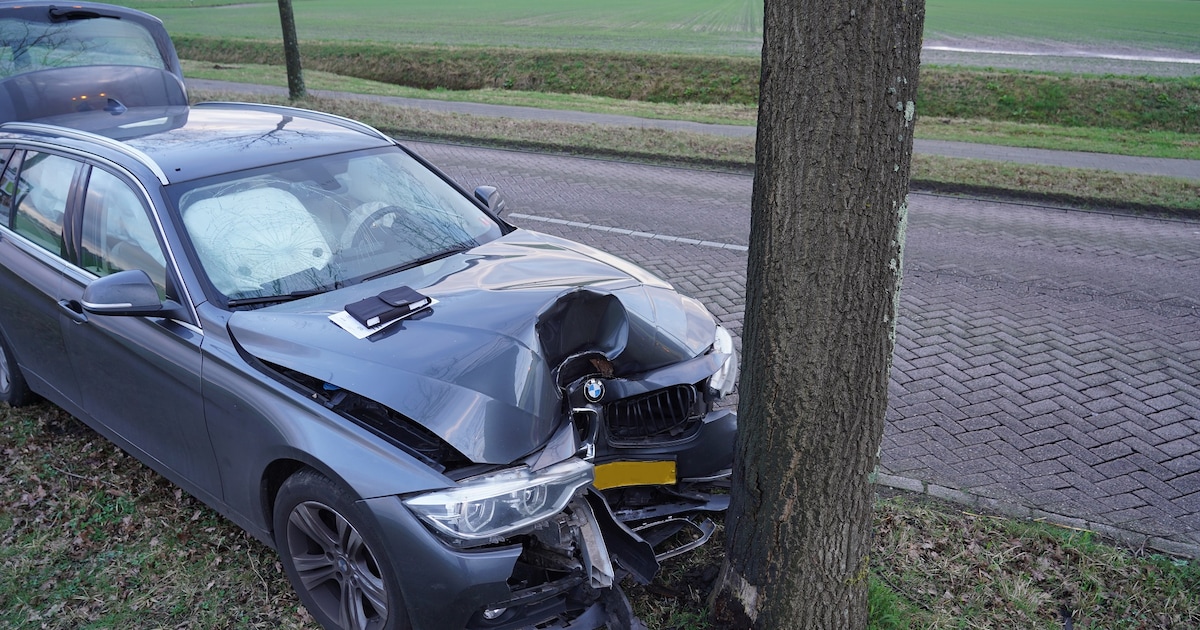 Fikse schade aan auto na botsing tegen boom in Oosteind | Regio | BN ...