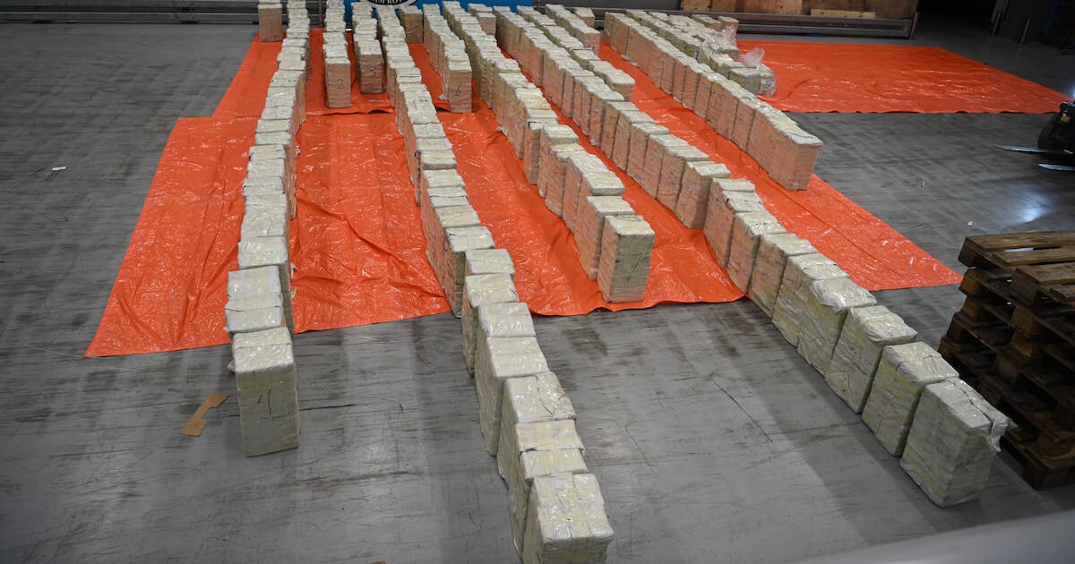 Grootste drugsvangst ooit in Amsterdamse haven: houten container uit ...