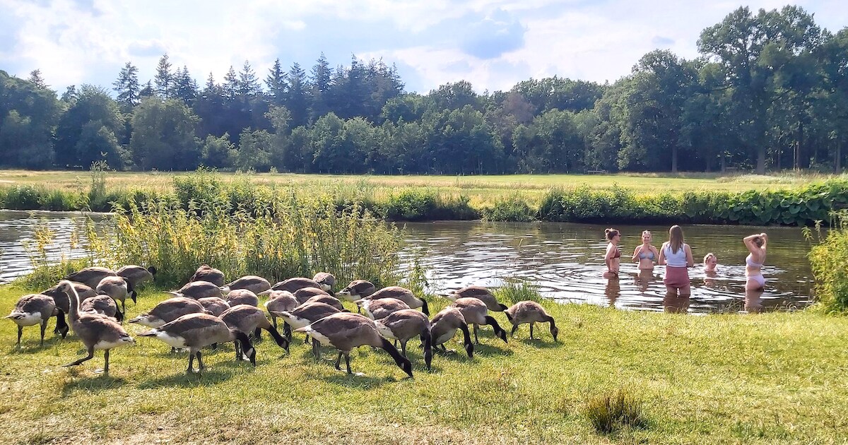 Lekker voor ons, maar een ramp voor de natuur: ‘De Mark is een bak met ...