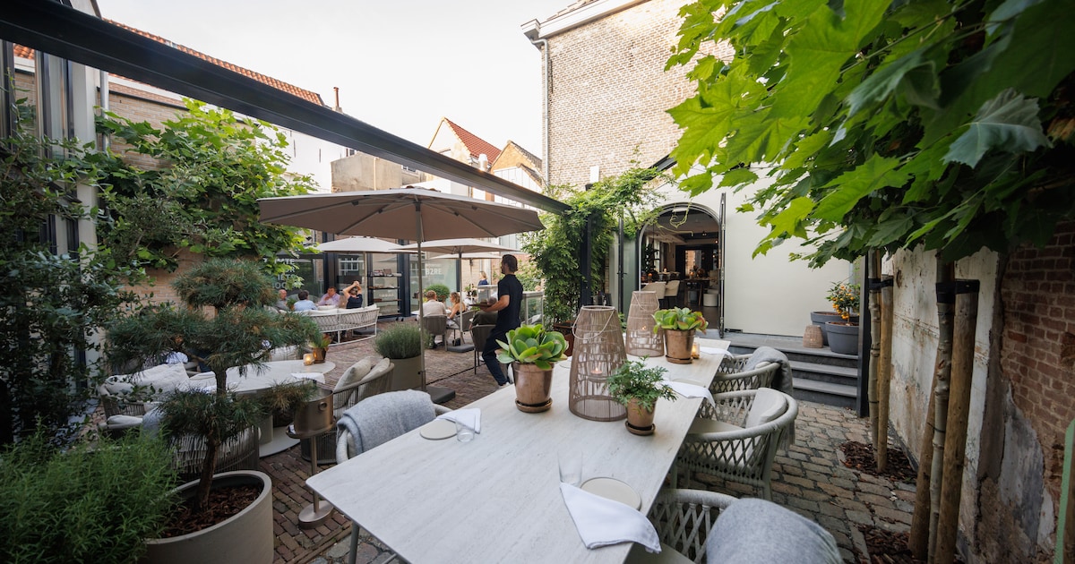 Eten op hoog niveau in de winkelstraat: Breda mag blij zijn met Alma ...