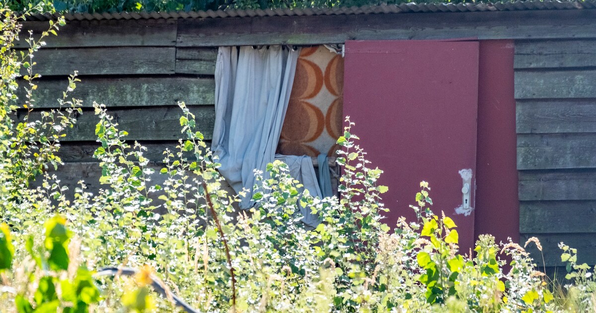 Daklozen bewegen zich als nomaden door Vlissingen: ‘Een trampoline ligt ...