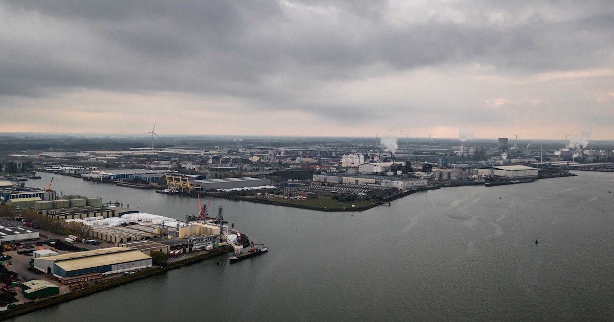 Stankoverlast rondom haven Moerdijk: klachten over hoofdpijn en ...