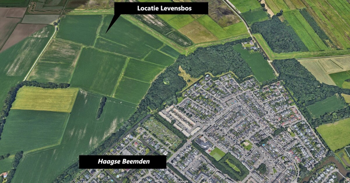 Breda start met ‘levensbos’ om bijzondere herinneringen levend te ...