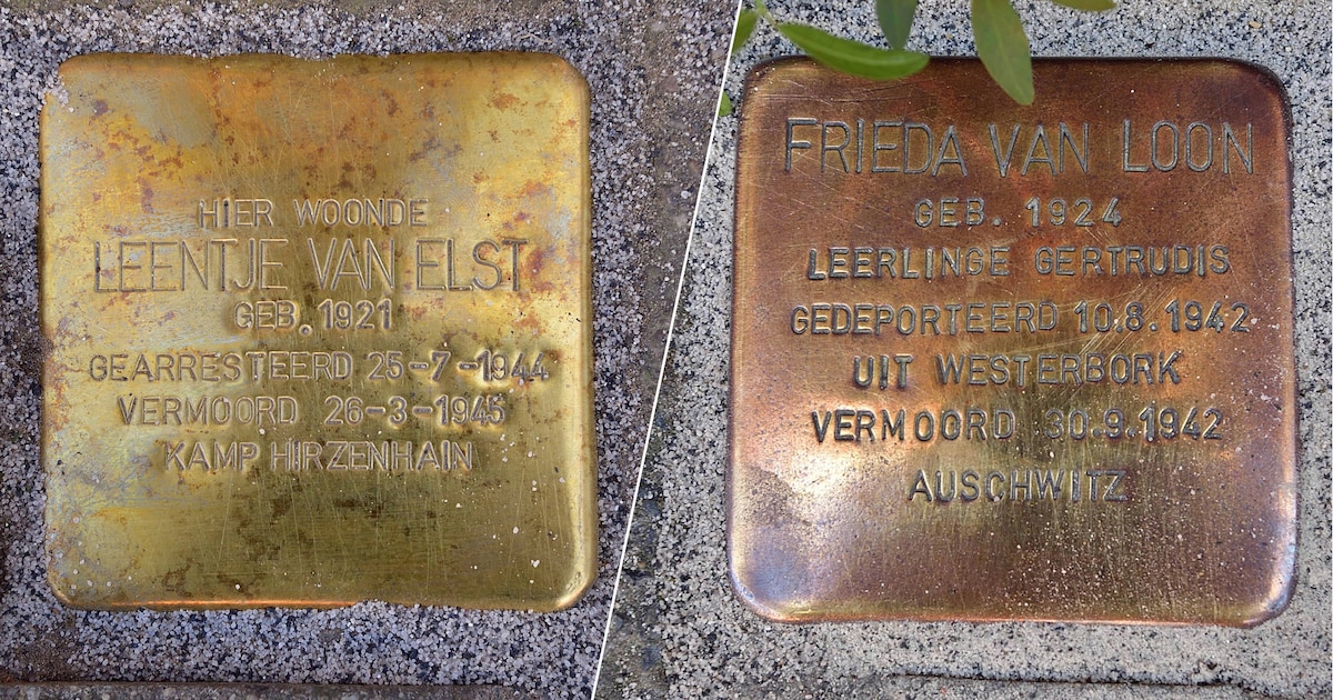 Nieuwe struikelstenen voor Frieda (17) en Leentje (23): ‘Met de juiste ...