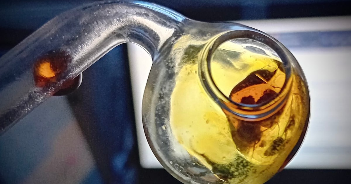 Plotseling daling gebruik verslavende ‘zombiedrug’ flakka. ‘Verbod op ...