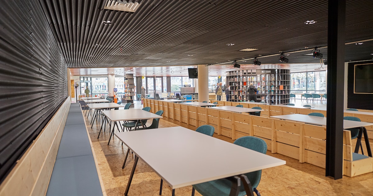 Udense schrijvers en dichters vieren hun eigen Boekenbal in de bieb | Brabant | BN DeStem.nl