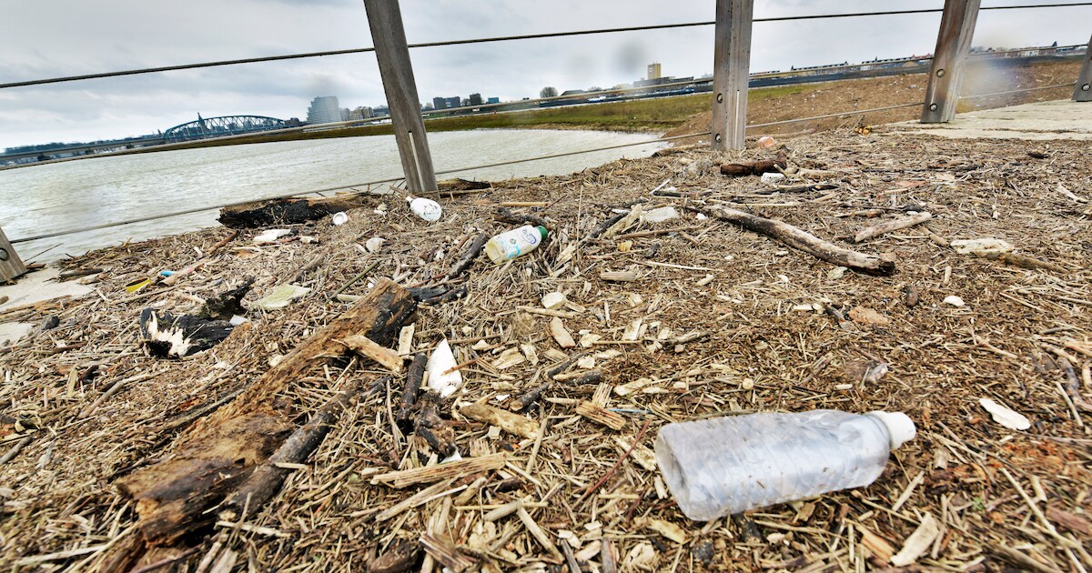 Hoogwater laat hele berg rotzooi achter in de Biesbosch | Brabant | BN ...