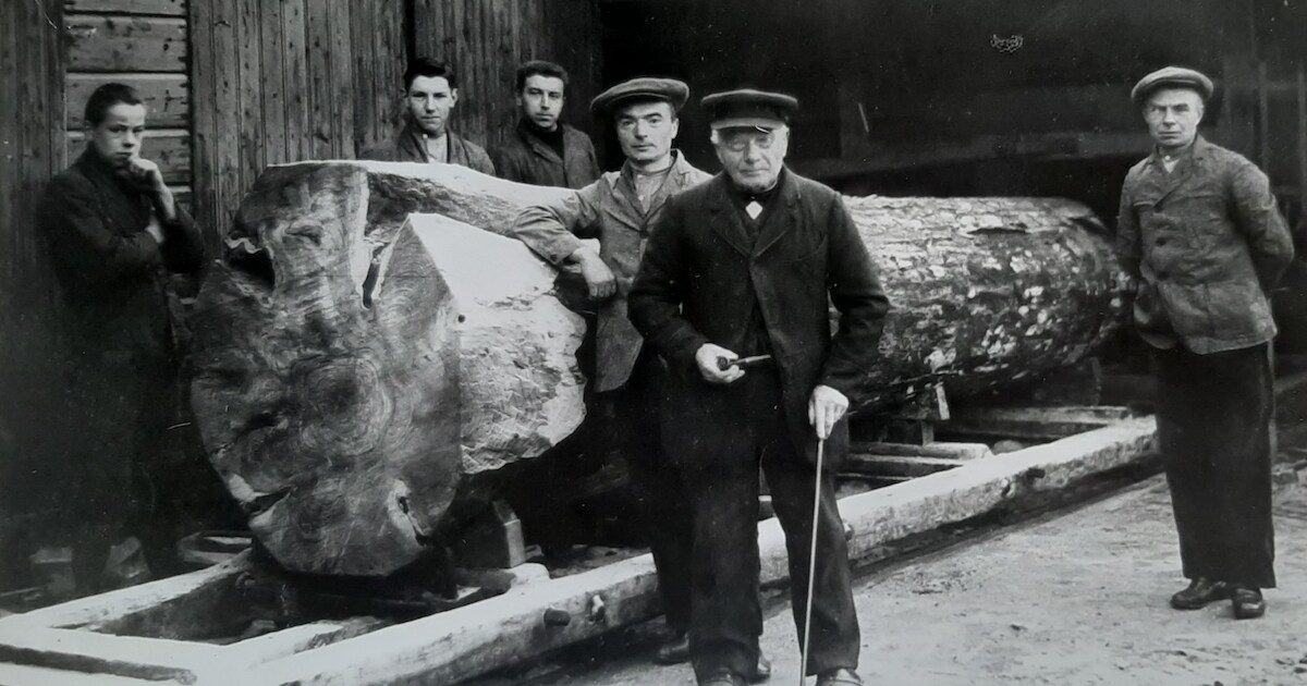 Doe-het-zelf-familie Van Pul stopt na 143 jaar met ondernemen in ...