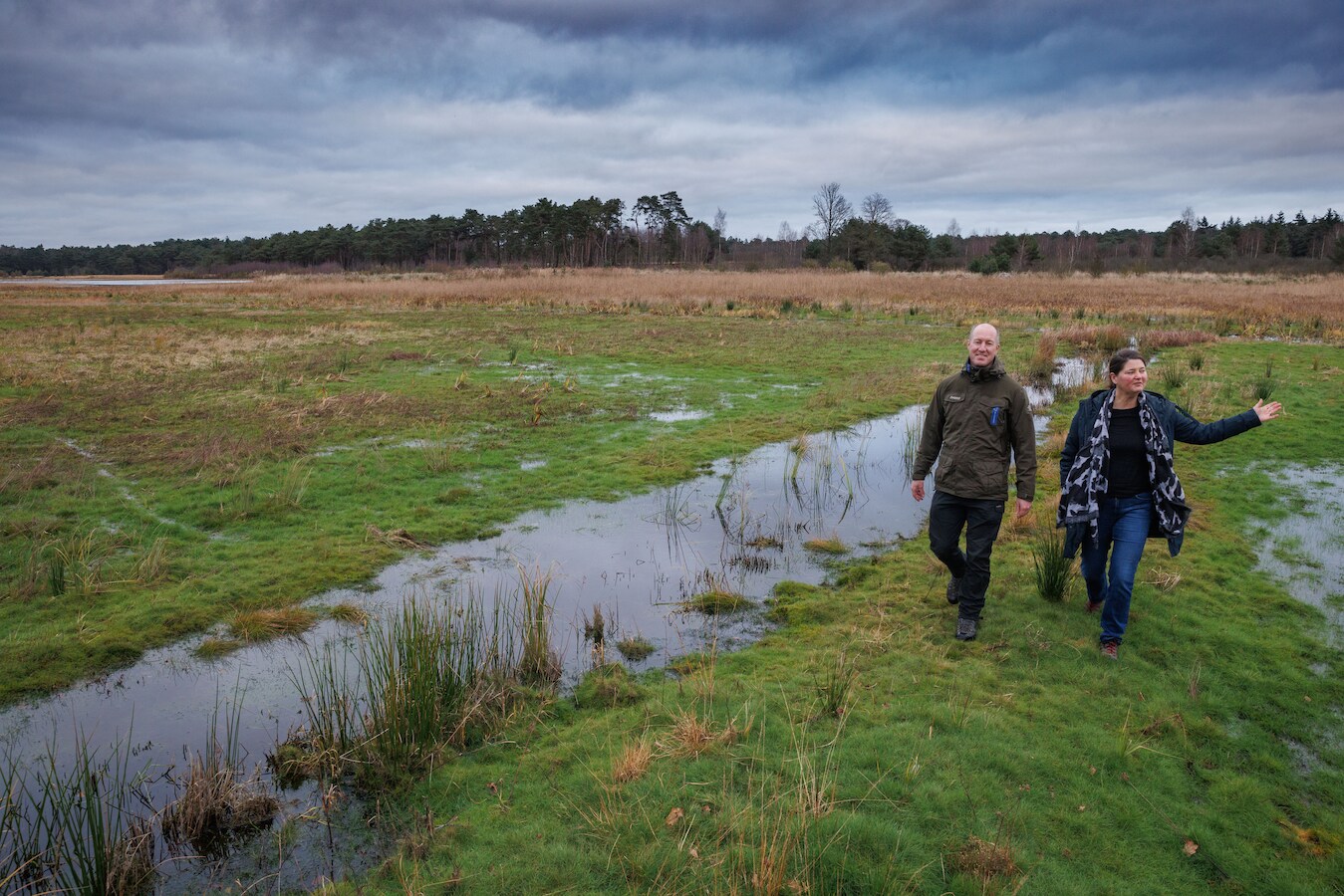 Natte weilanden en tóch verdroogt Nederland: de verborgen watercrisis ...