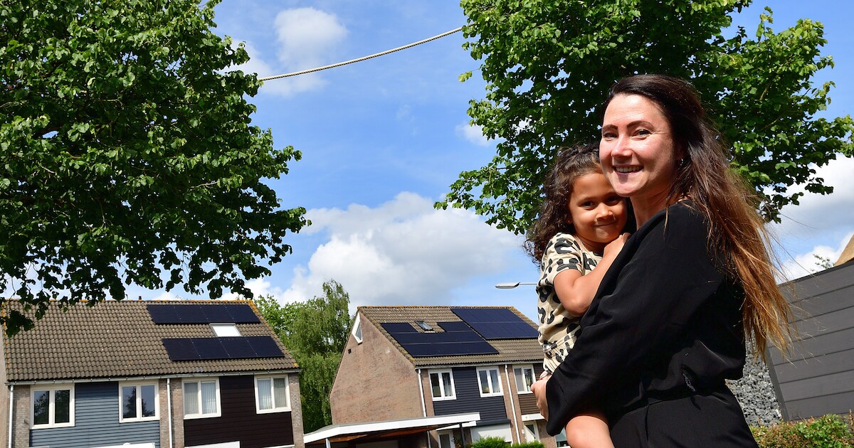 Na acht doodgereden eekhoorns heeft Roosendaalse straat nu een touwbrug ...