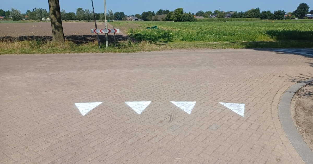 Wie kalkt in vredesnaam die haaientanden op de weg? ‘Zo'n actie is echt ...