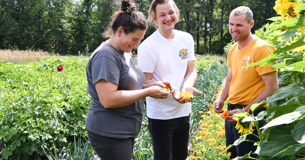 Direct van het land in Rijsbergen op tafel bij restaurant Dames Pellens in Breda: ‘Dit is zo ...