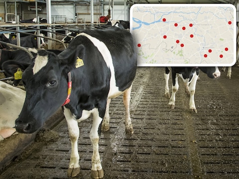 Ruim 750 boeren in Noord-Brabant liggen in nieuwe stikstofzones: hier ...