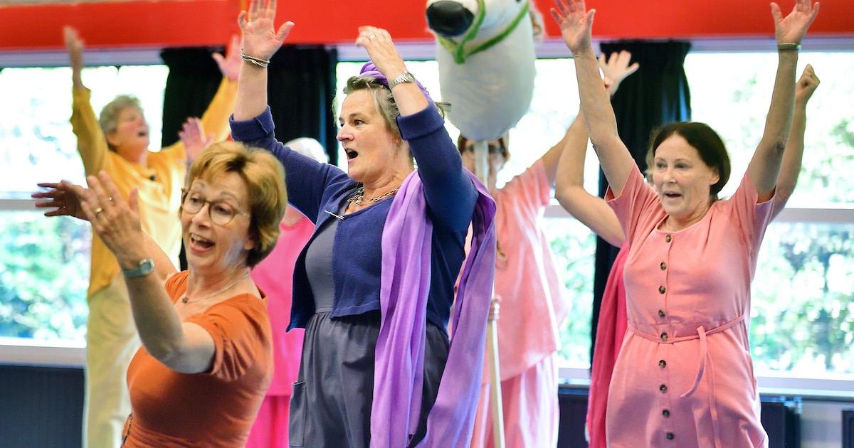 Met dansproductie ‘Suiker’ is tiende festival Roosendaal Danst van start gegaan | Roosendaal ...