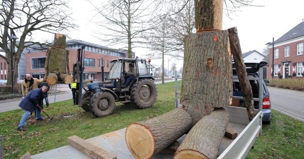'Theo en Theo' bij Zunderts entree | Breda | BN DeStem.nl