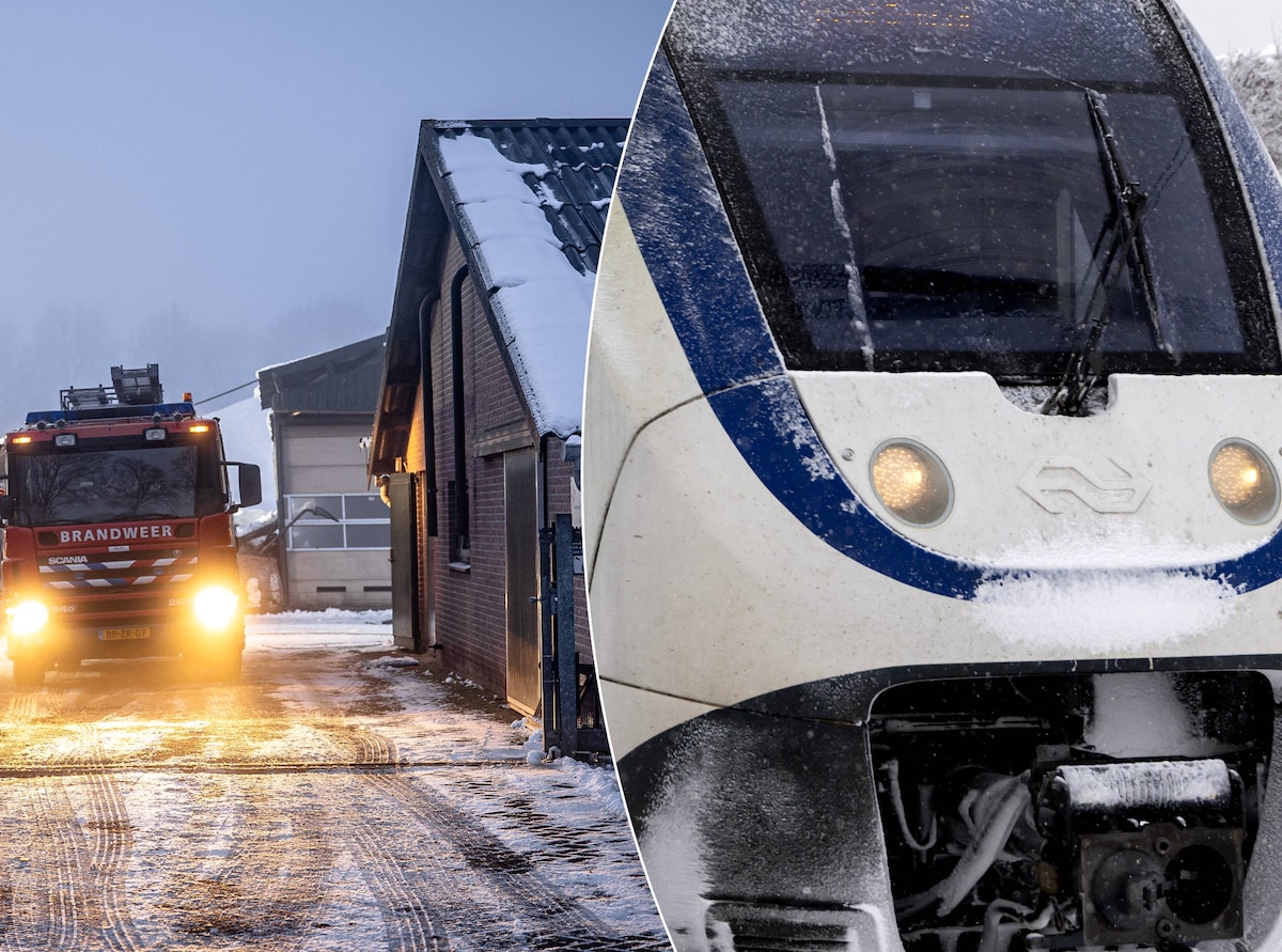 LIVE Sneeuw in Brabant | Dak van stal zakt in door sneeuw: treinen ...