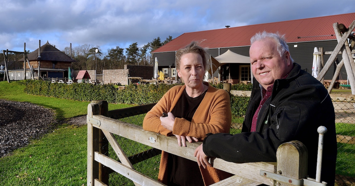 Vanaf volgend jaar kunnen tieners op Den Scherpenberg de boom in ...