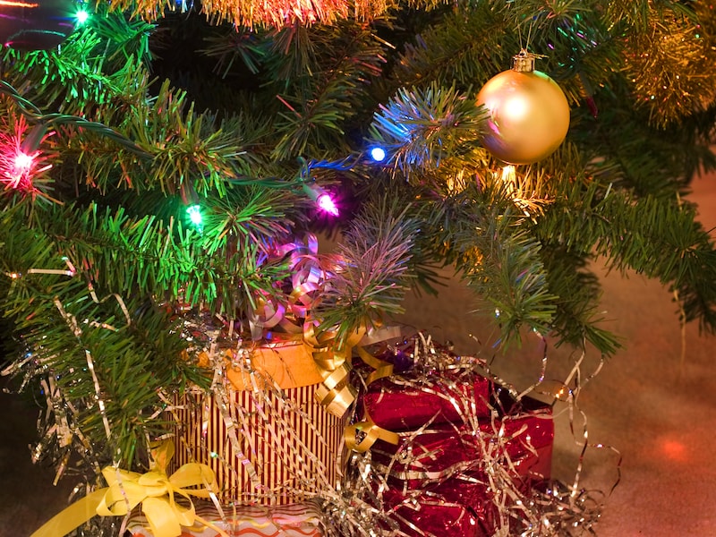 Puzzel voor nieuw theater is gelegd: Roosendaal kan nu echt gaan bouwen ...