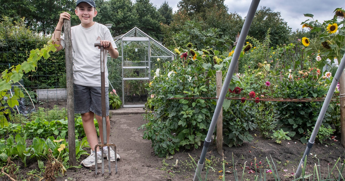 Rowan is 13 en runt zijn eigen volkstuin: ‘Alles biologisch én zelfgemaakt’ | Etten-Leur | BN ...