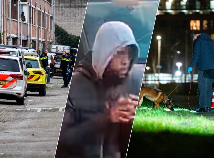 Afgrijselijk begin van 2025, wat is er aan de hand in Rotterdam? ‘De tijdmachine is teruggezet ...