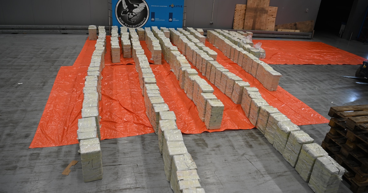 Grootste drugsvangst ooit in Amsterdamse haven: houten container uit ...