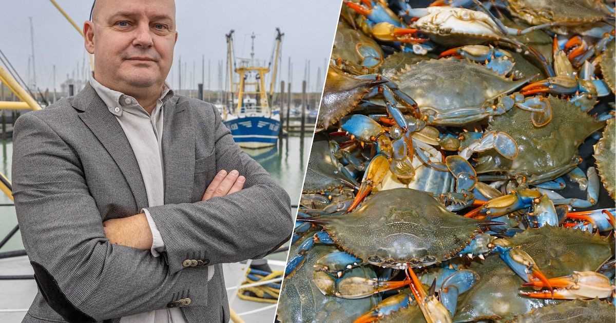 ‘Wereldprimeur’ in oude vismijn: dit bedrijf lukt het om volledig ...