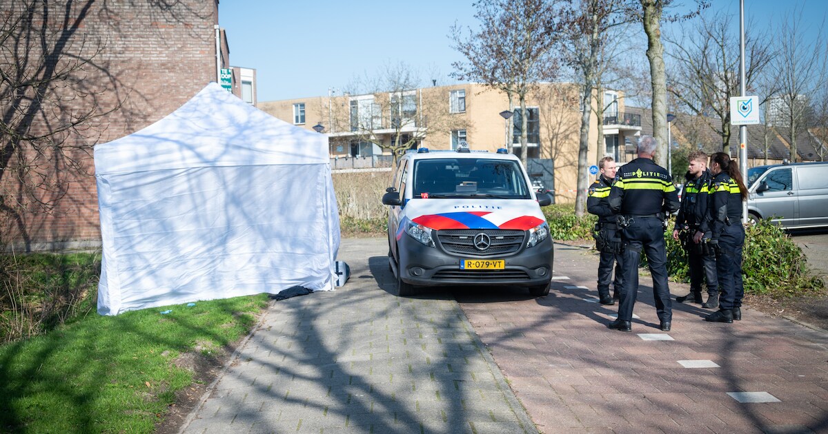 Politie: in sloot gevonden dode man (80) door noodlottig ongeval overleden | Hoeksche Waard ...