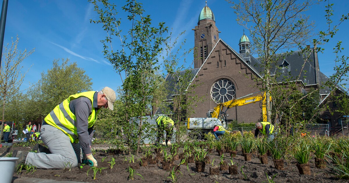 Breda krijgt het lastig om de klimaatdoelen te halen: 'Geld moet niet ...