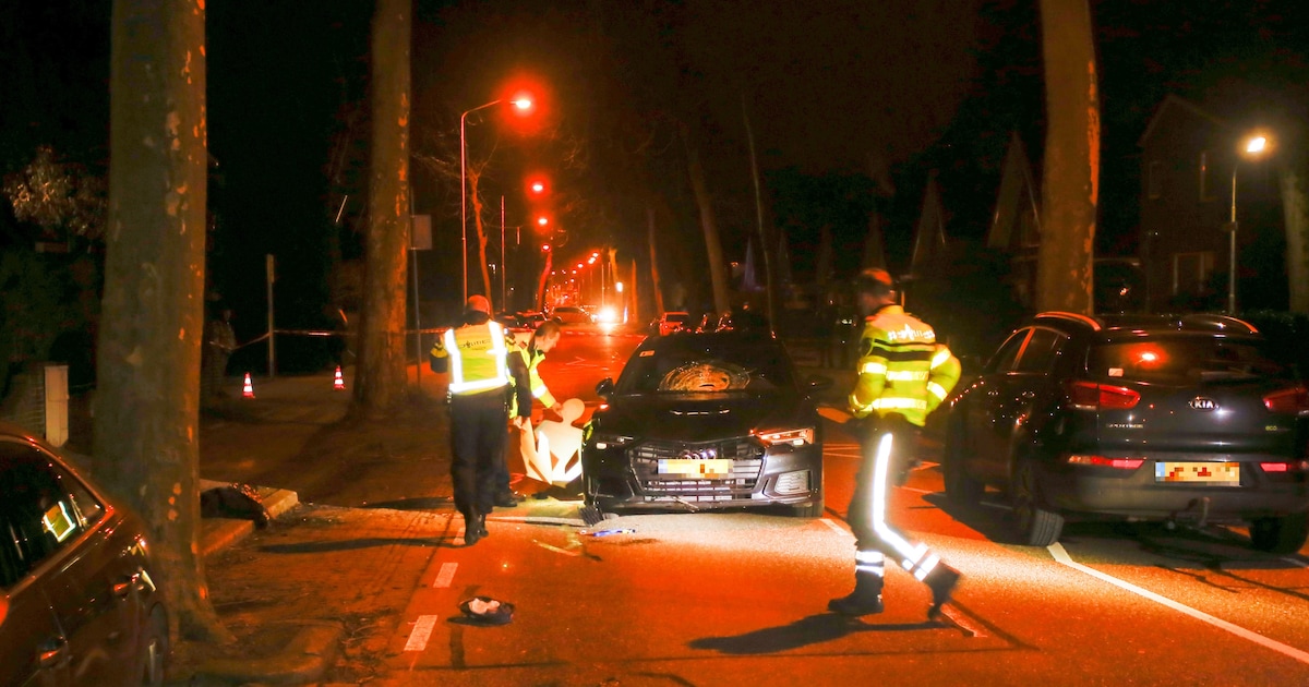 Vergeving voor doodrijder van ‘oma visje’ maakt indruk, dader U. niet ...