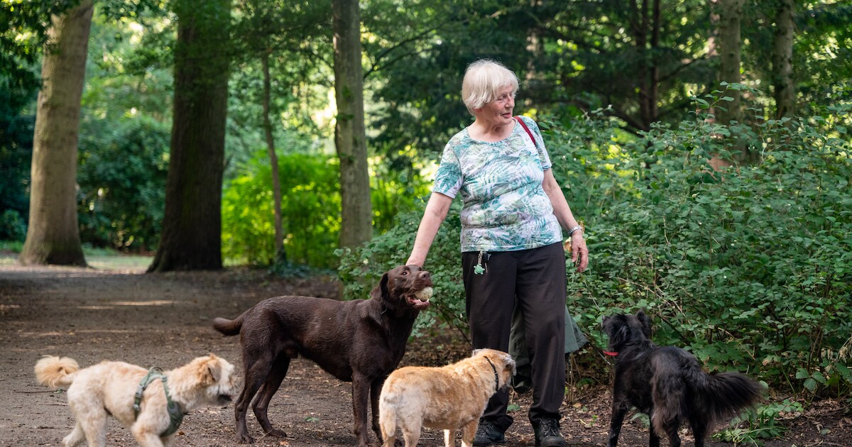 Onze trouwe viervoeters hebben gevolgen voor de natuur: ‘Moet ik mijn ...