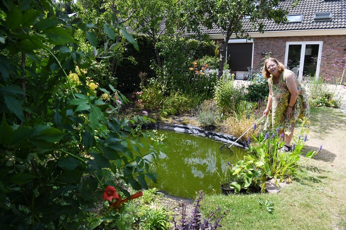 Dolfje Begeer tovert Ulvenhoutse tuin om tot groene oase: ‘Er staat ...