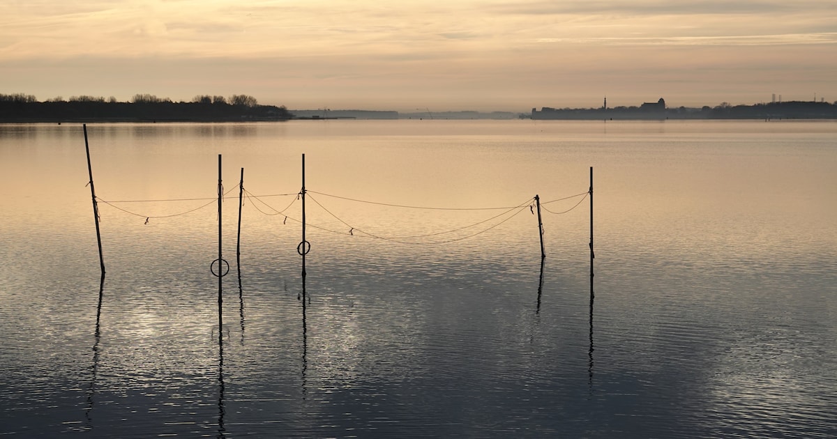 MIJN FOTO | Windstil water in Veere | Zeeland | bndestem.nl