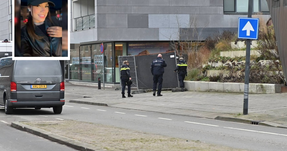 Man ziet droom in duigen vallen door dodelijke val van zijn ...