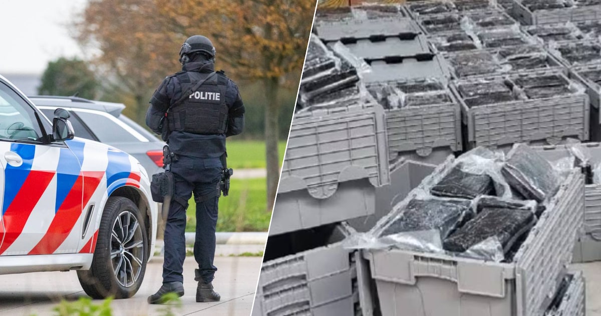 250 miljoen euro aan coke in schuurtje: hoe West-Bra­bant uitgroeide ...