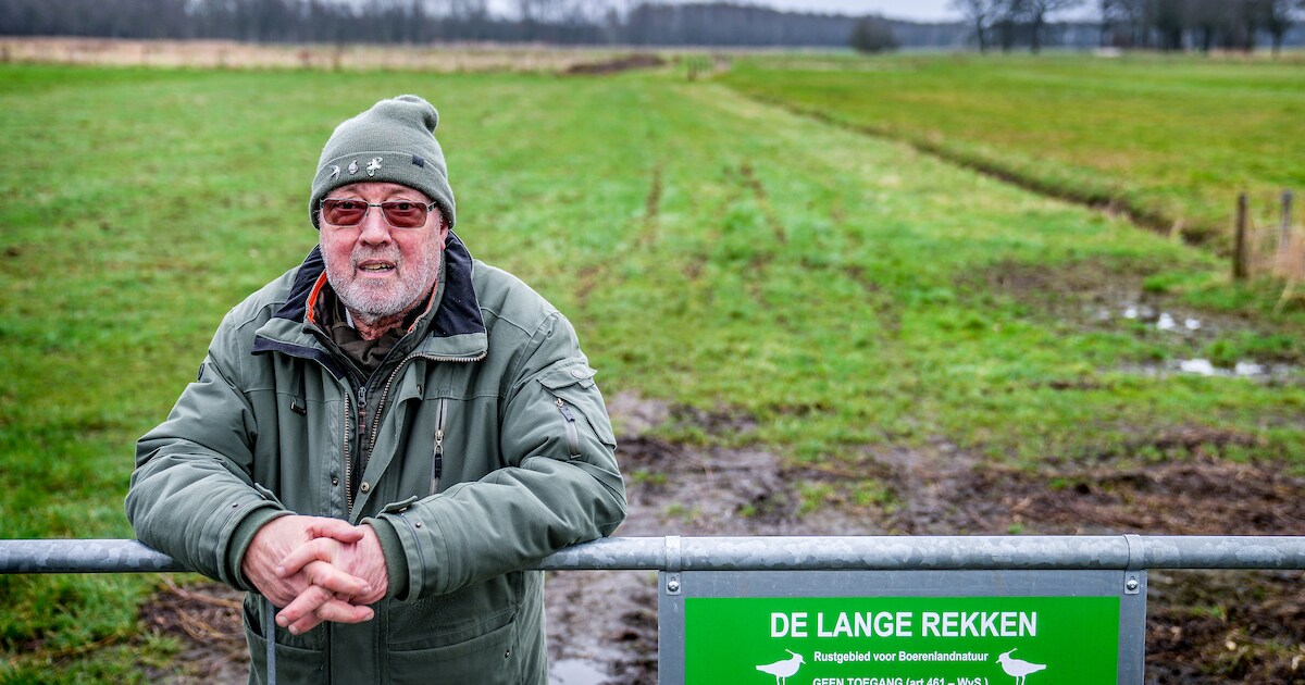 Plasdrassen in natuurgebied De Lange Rekken zijn klaar voor trek- en ...
