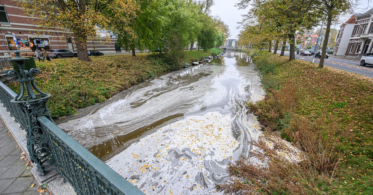 Ineens drijft er witte smurrie in de Bredase singels: onderzoek leidt ...