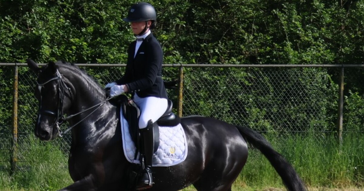 Van Giesen heeft met zadelmakke Lahurona lot uit loterij | Terneuzen ...