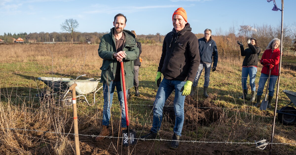 Wethouders planten halve kilometer heg in Breda | Regio | BN DeStem.nl