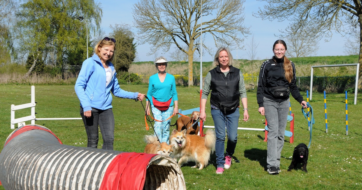 Skaeve Huse? Prima, maar absoluut niet hier. Op dit veld doen ...
