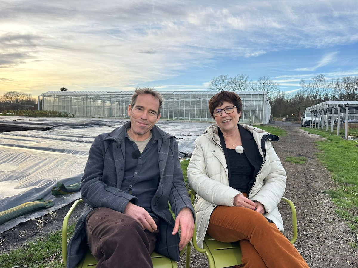 Hoe het gifschandaal ervoor zorgde dat het eerste jeugdjournaal in ...