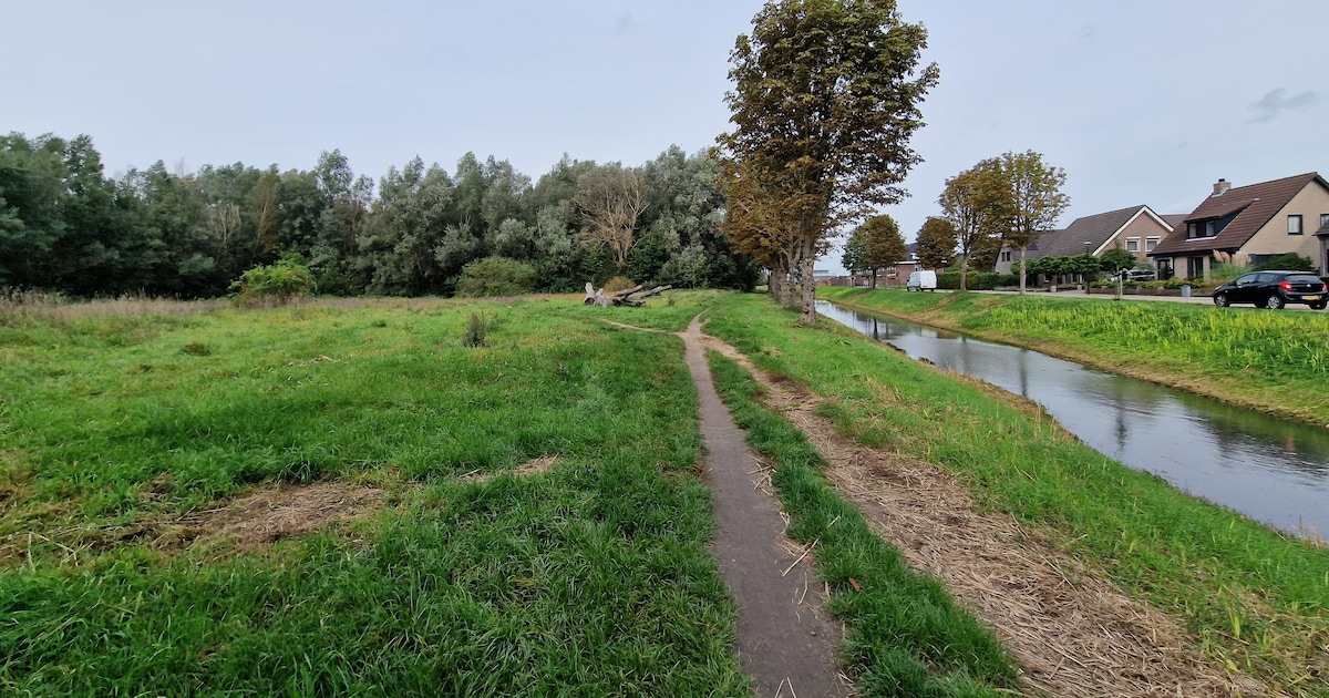 Omwonenden nieuwbouwplan Achter de Hoeven grijpen in: ‘Raad, zeg ‘nee ...