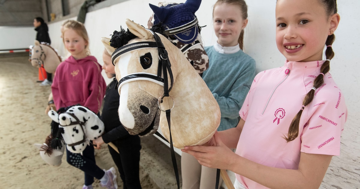 Hobby Horsing: sport, spel en liefde voor het paard in één | Regio | BN ...