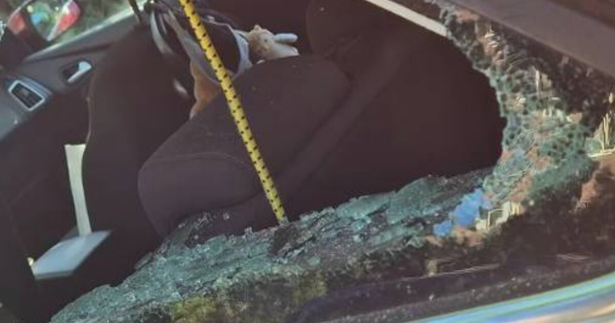 Baby uit gloeiend hete auto gered: agenten slaan ruit in | Binnenland ...